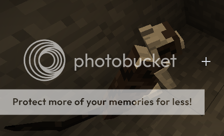 Pet Cat Skins - Skins - Mapping and Modding: Java Edition - Minecraft ...